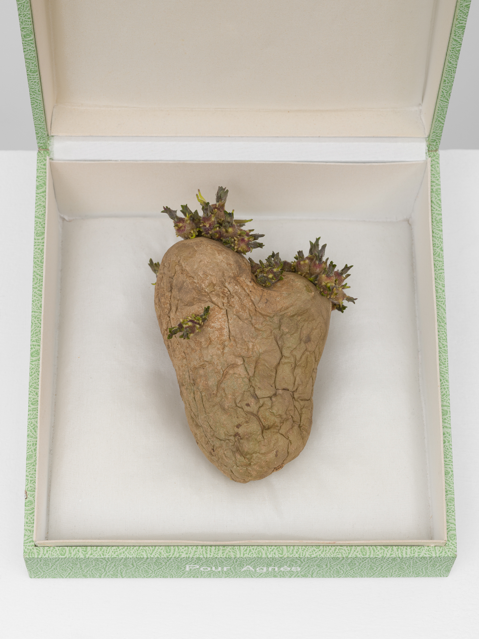 Adrien Missika | Pour Agnès